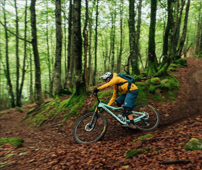 Allmountain-Bike - überall zuhause | Radlherz | Radlherz